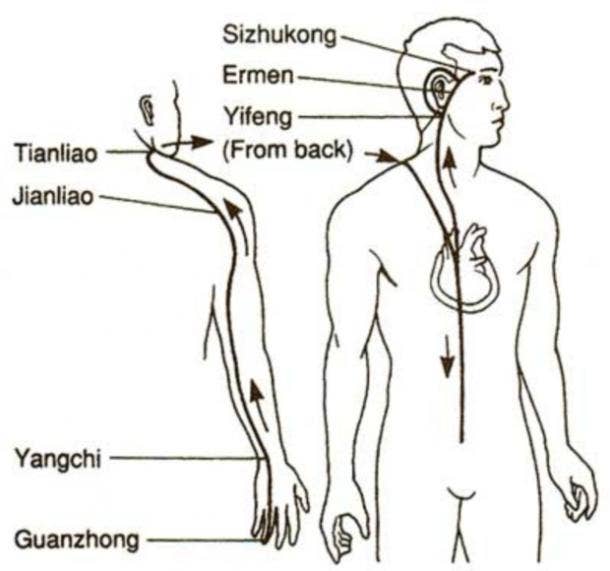 5 Common Causes Of Bumps Red Spots And Skin Rashes According To Traditional Chinese Medicine